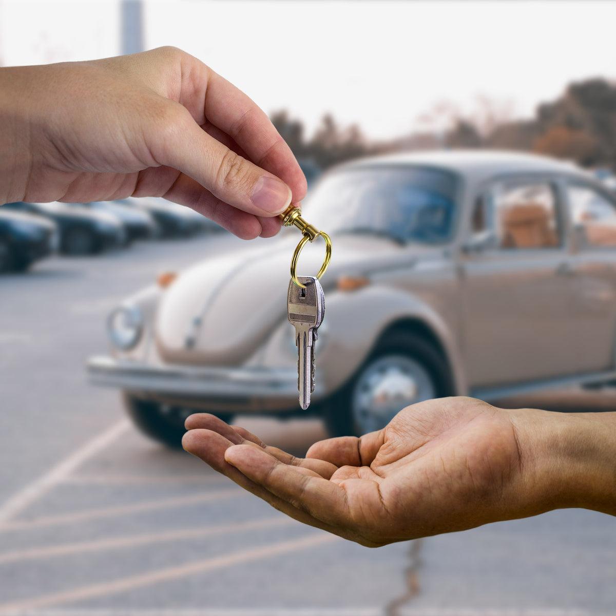 Quick Release | Key Releases | Lucky Line Products